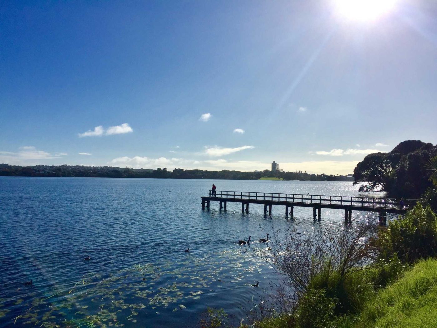 The PumpHouse Theatre's History in Takapuna, Auckland