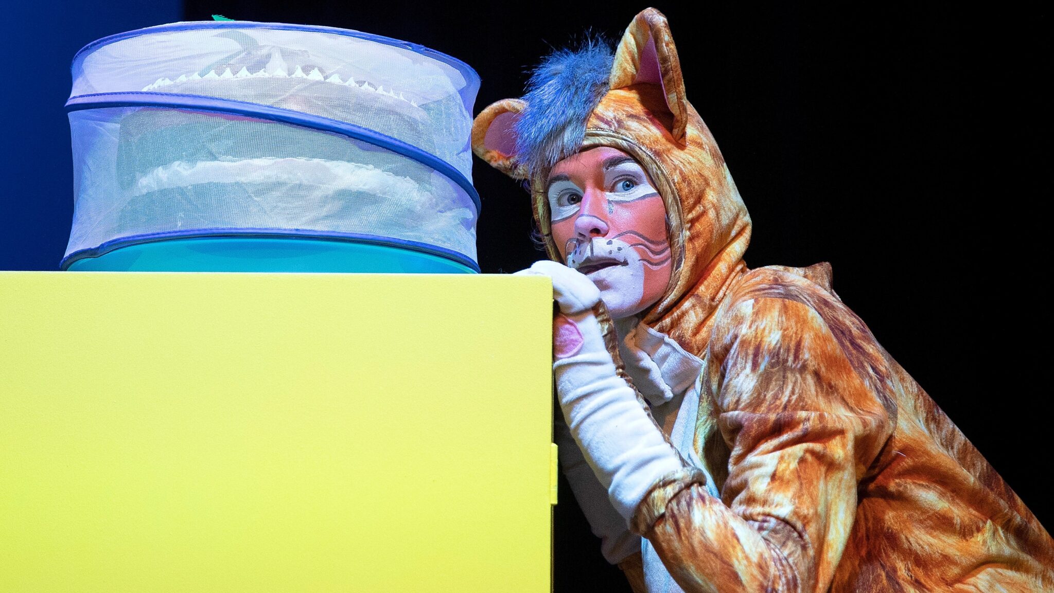 Greedy Cat - The PumpHouse Theatre